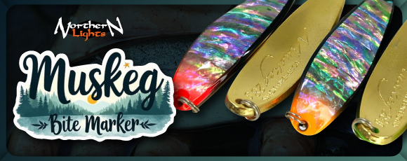 DIGITAKA! - Japan Fishing Tackle Store