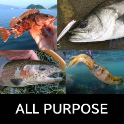 DIGITAKA! - Japan Fishing Tackle Store